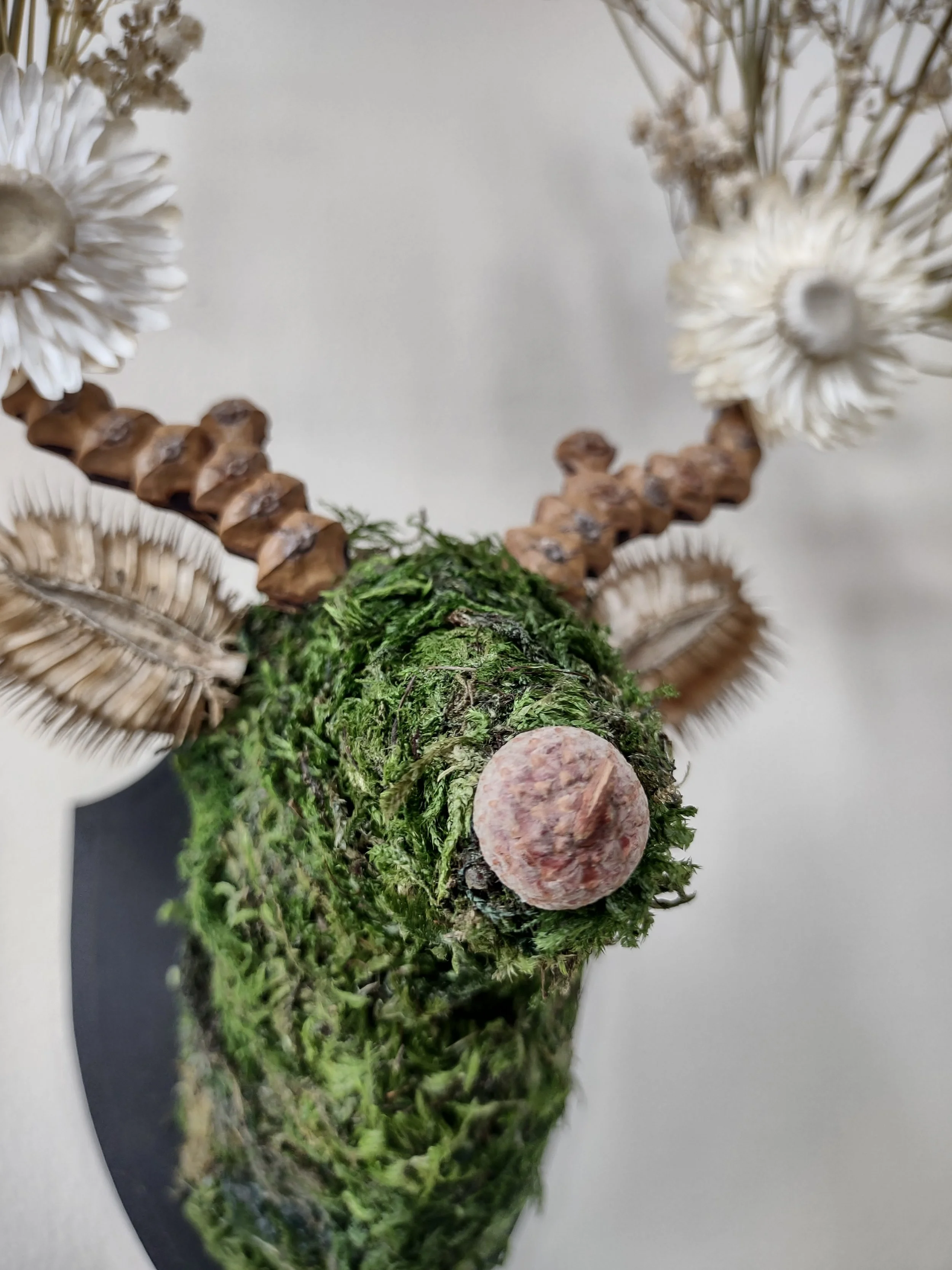 Botanical Stag Head Wall Mount MINI Lavender & Gyp — Cotswold Flora