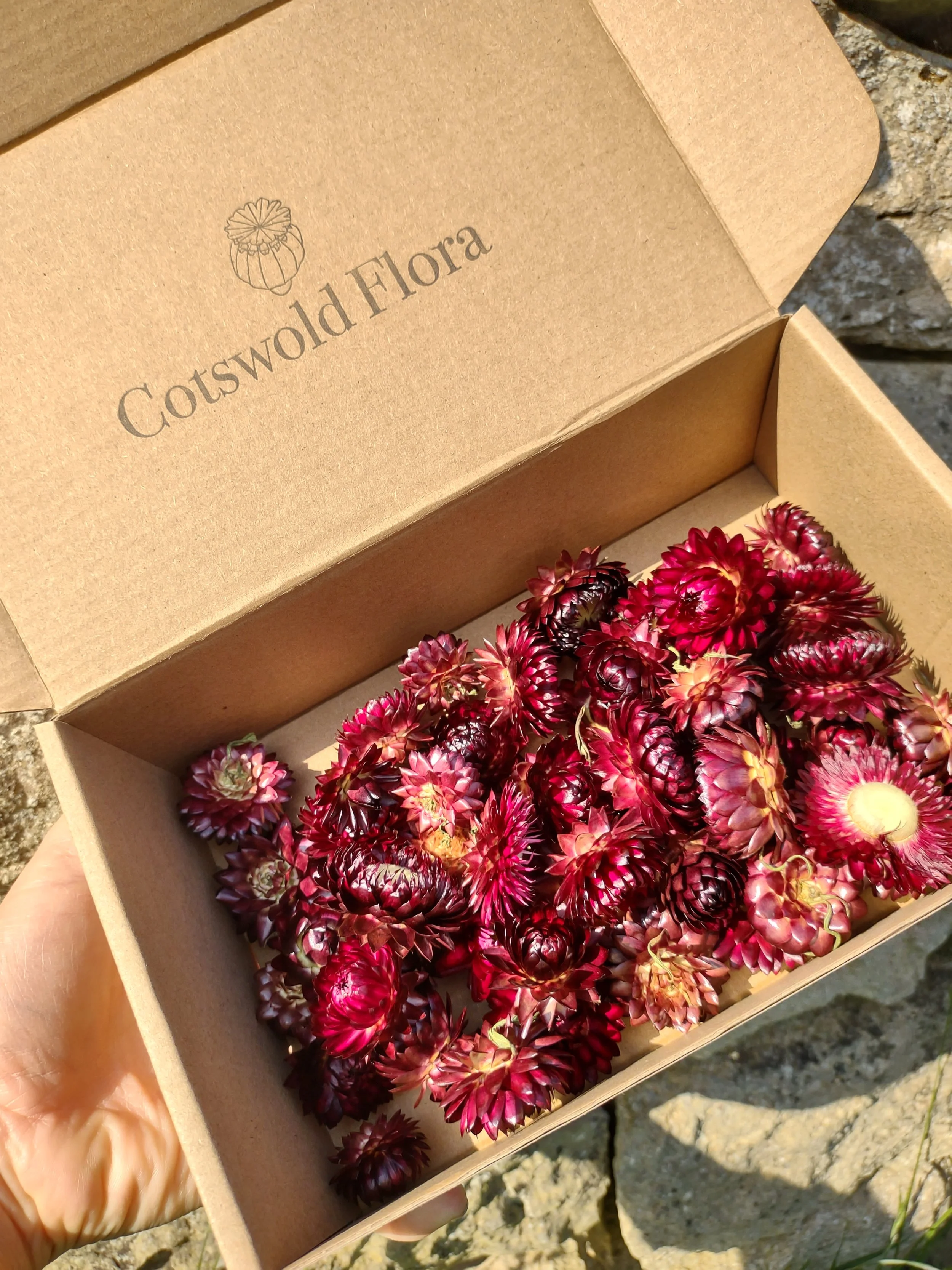 Colourful Dried Flower Bouquet — Cotswold Flora