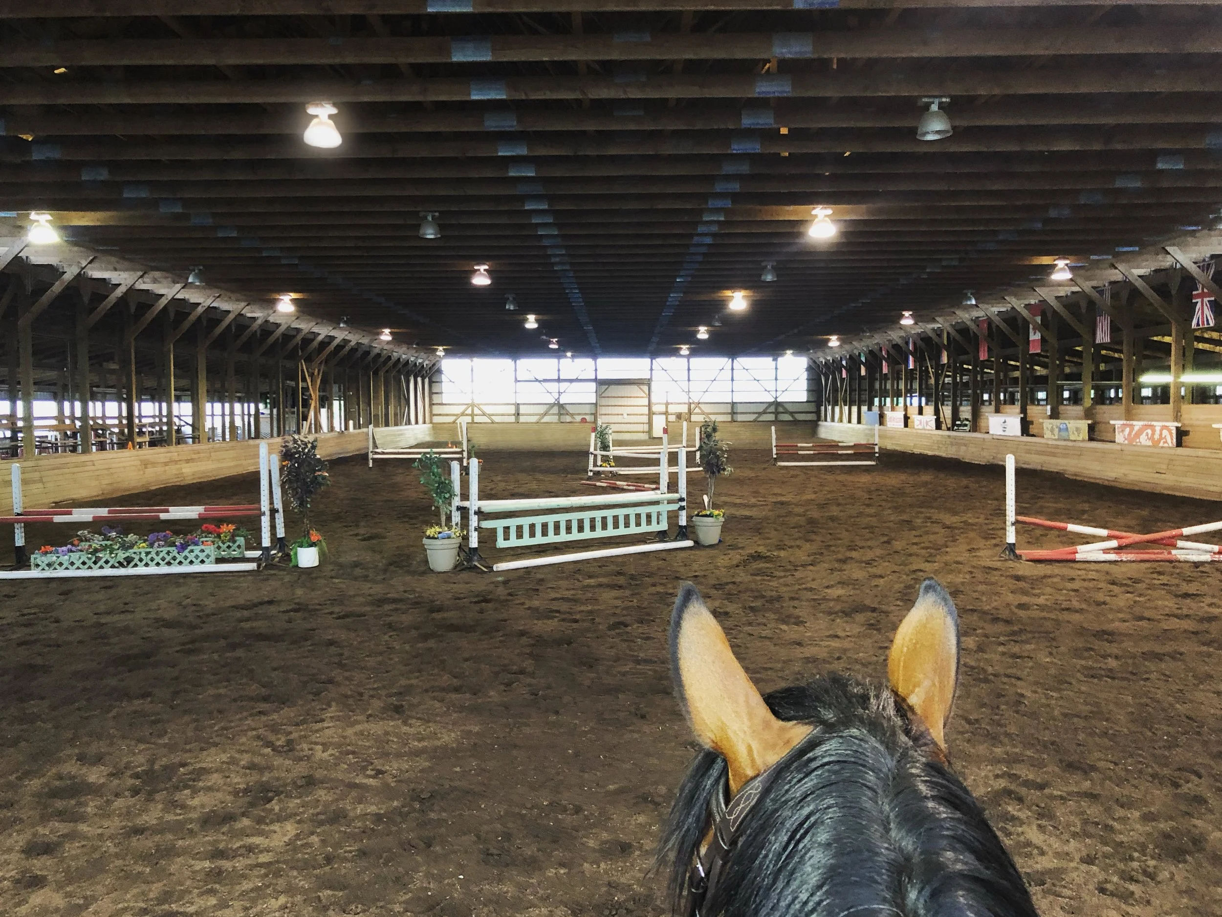 Riding Lessons - Where Vancouver Learns To Ride Horses