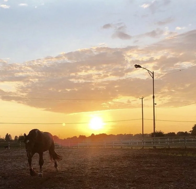 Facility — Riverside Equestrian