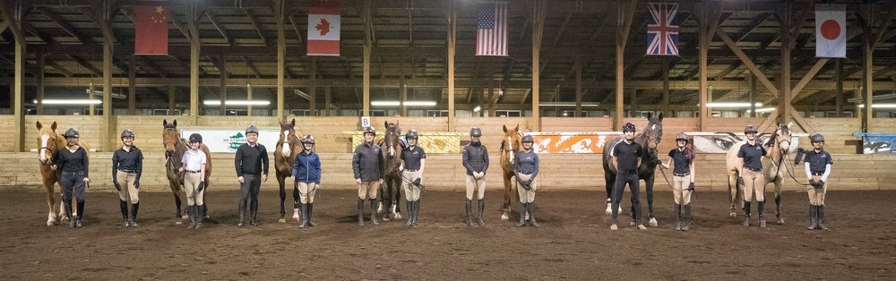Riding Lessons - Where Vancouver Learns To Ride Horses