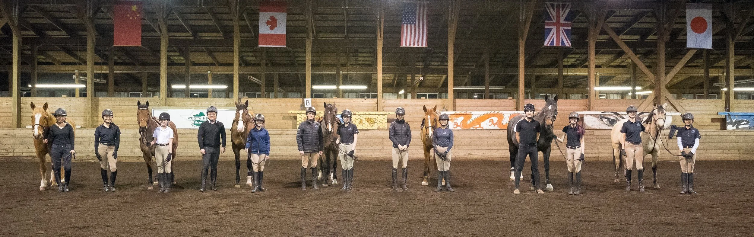 Riding Lessons - Where Vancouver Learns To Ride Horses