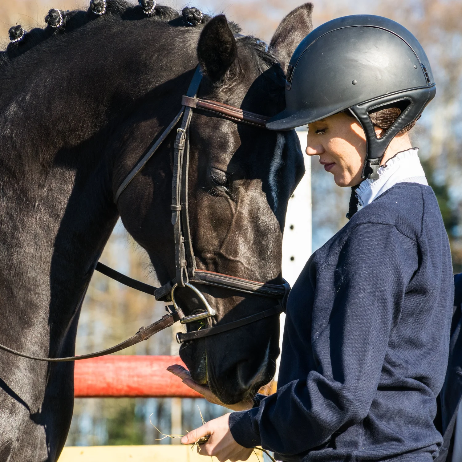Riding Lessons - Where Vancouver Learns To Ride Horses