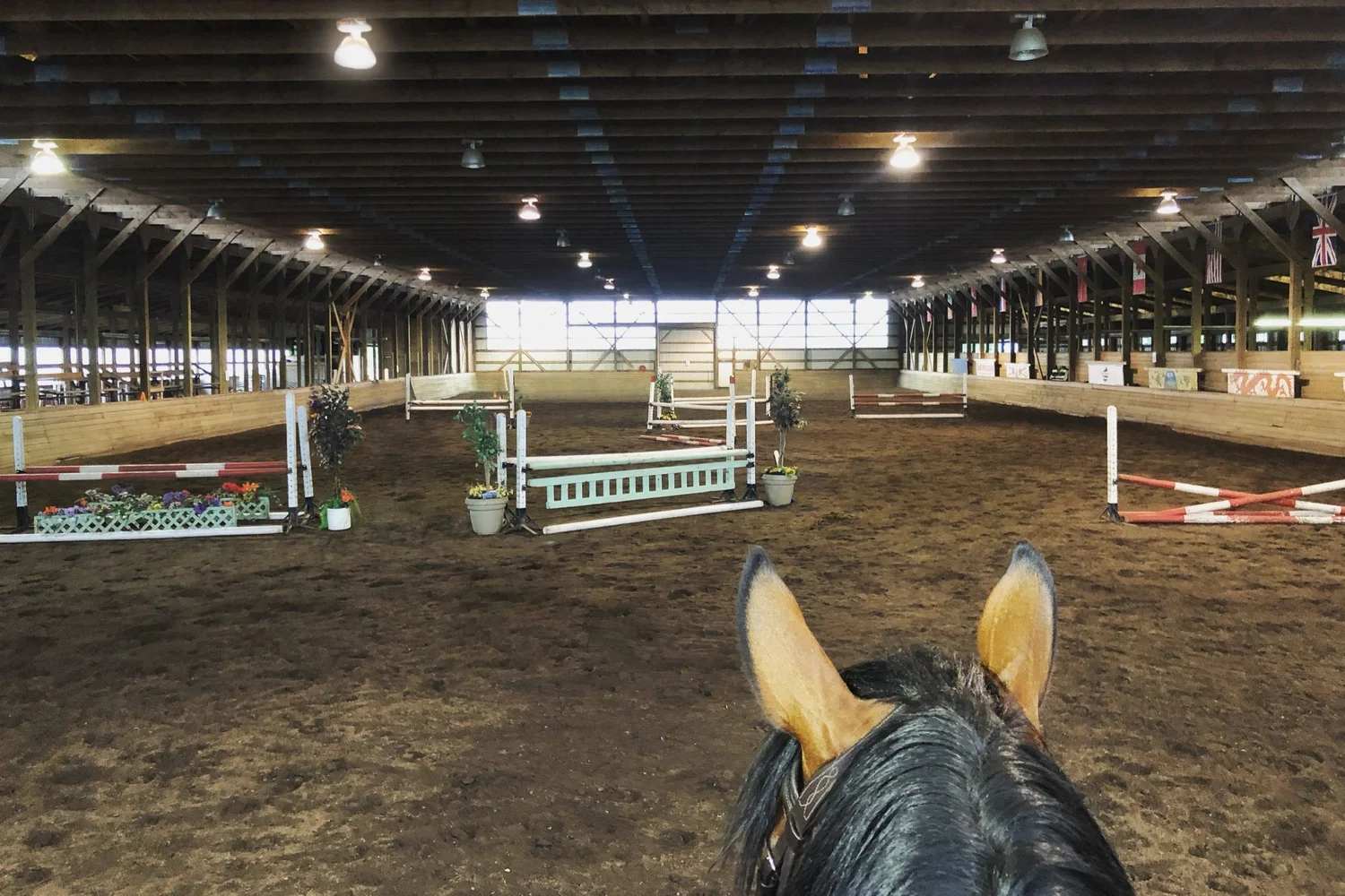 Riding Lessons - Where Vancouver Learns To Ride Horses