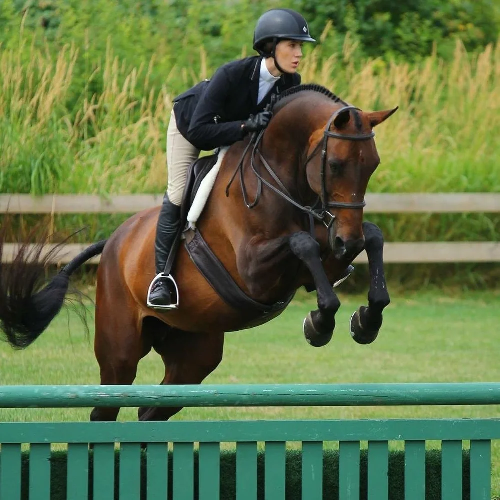Riding Lessons - Where Vancouver Learns To Ride Horses