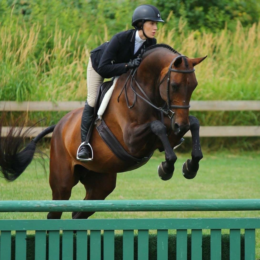 Riding Lessons - Where Vancouver Learns To Ride Horses
