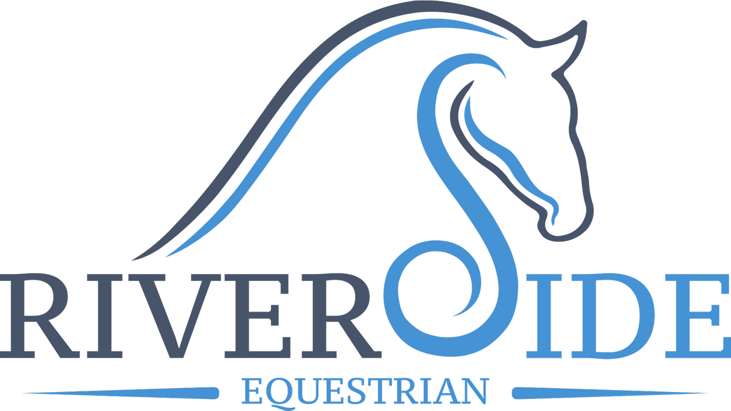 Riding Lessons - Where Vancouver Learns To Ride Horses