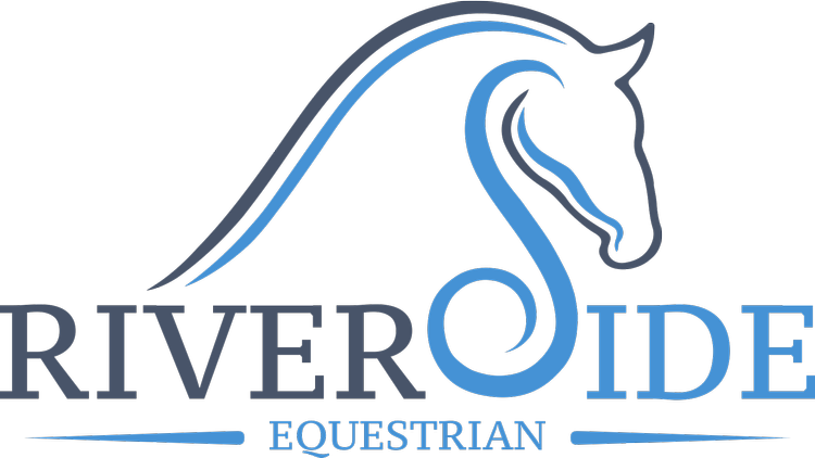 Riding Lessons - Where Vancouver Learns To Ride Horses