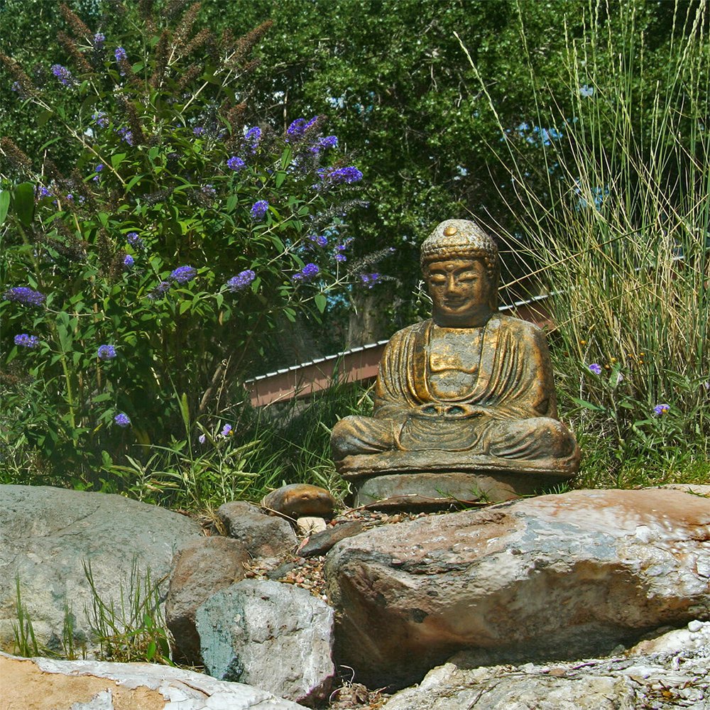 Bodhi Gallery — Bodhi Manda Zen Center