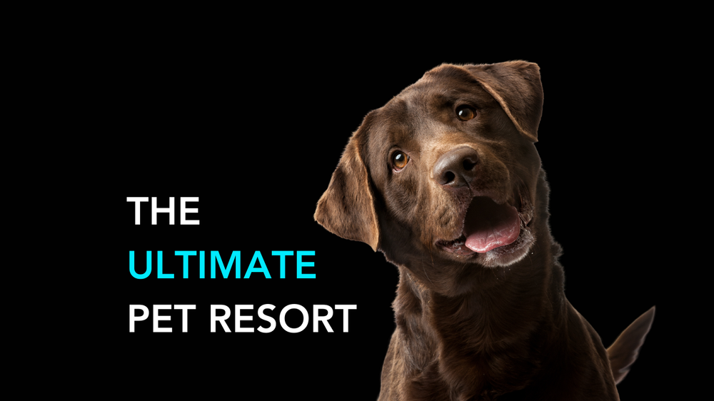 Pet Resorts