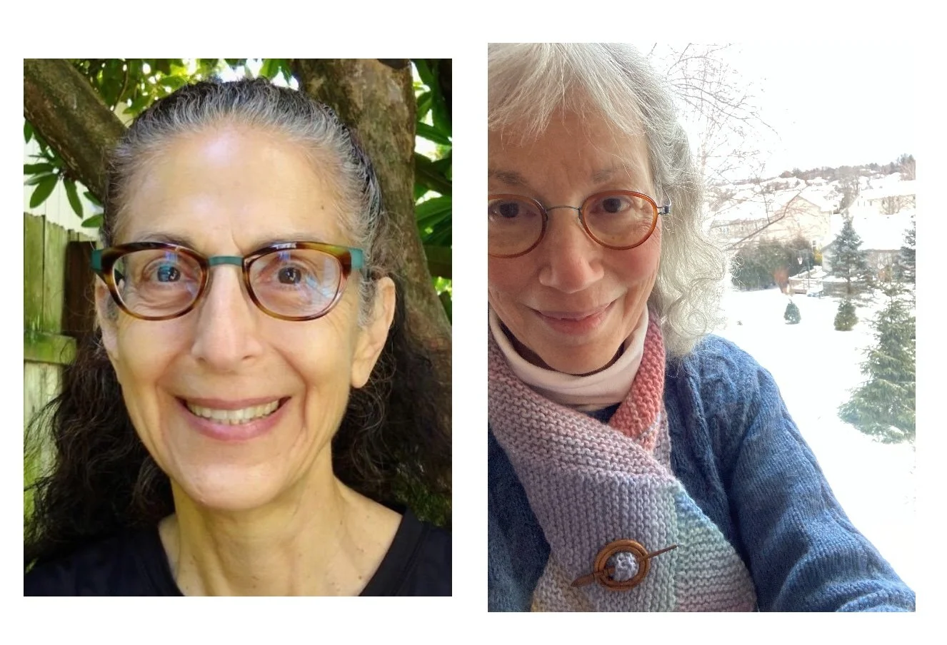 Carole Melkonian and Jan Sheppard — Madison Insight Meditation Group