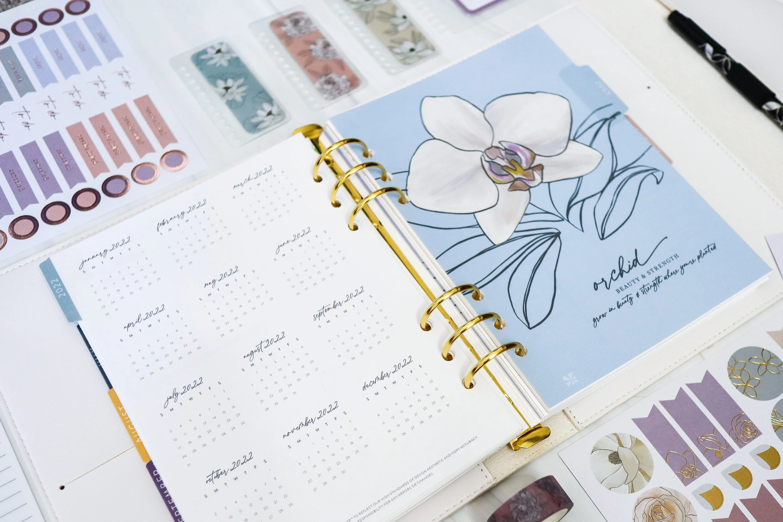 Erin Condren LifePlanner Academic Year Launch Review — Plan With Laur