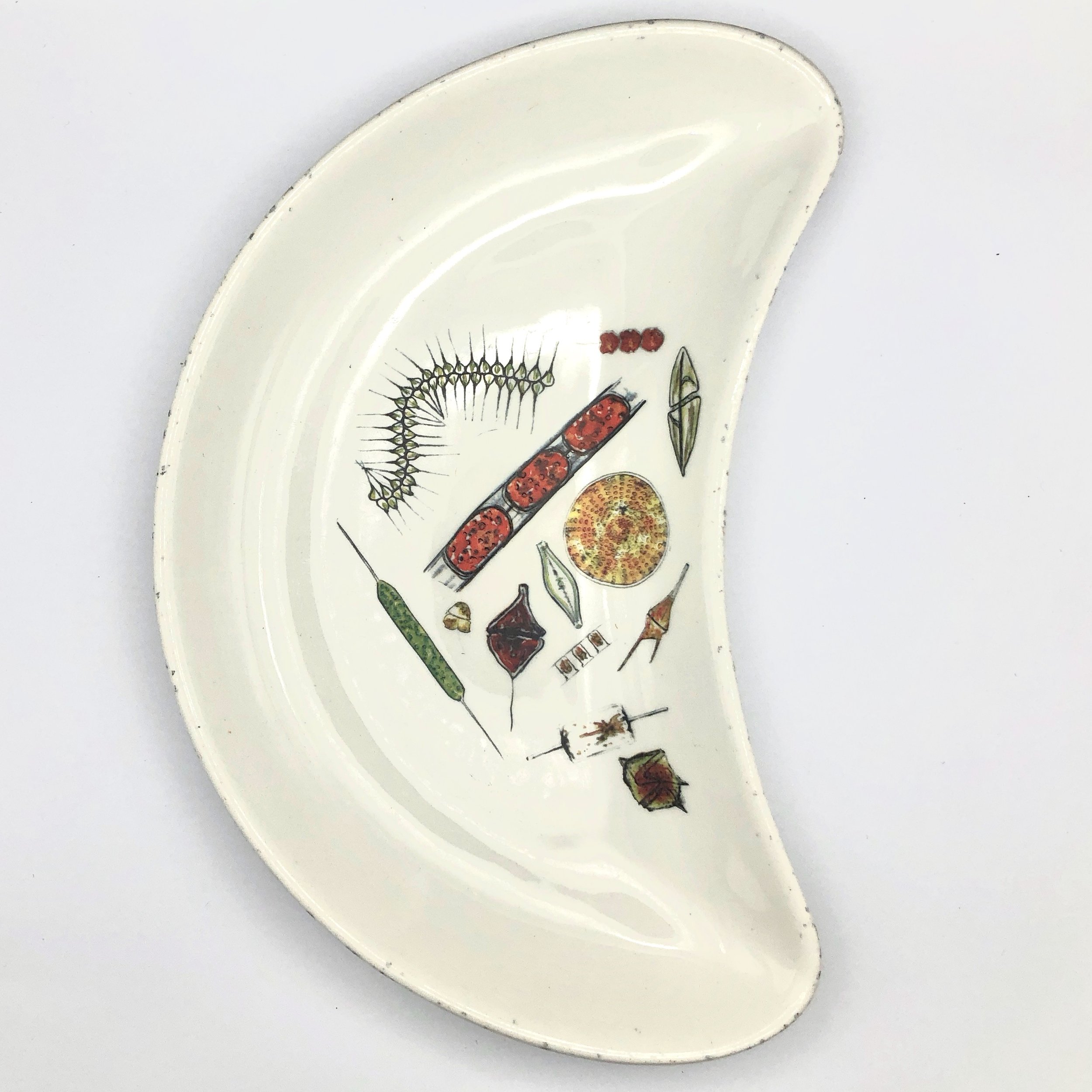 Upcycled square plate with coloured phytoplankton including Tripos ...