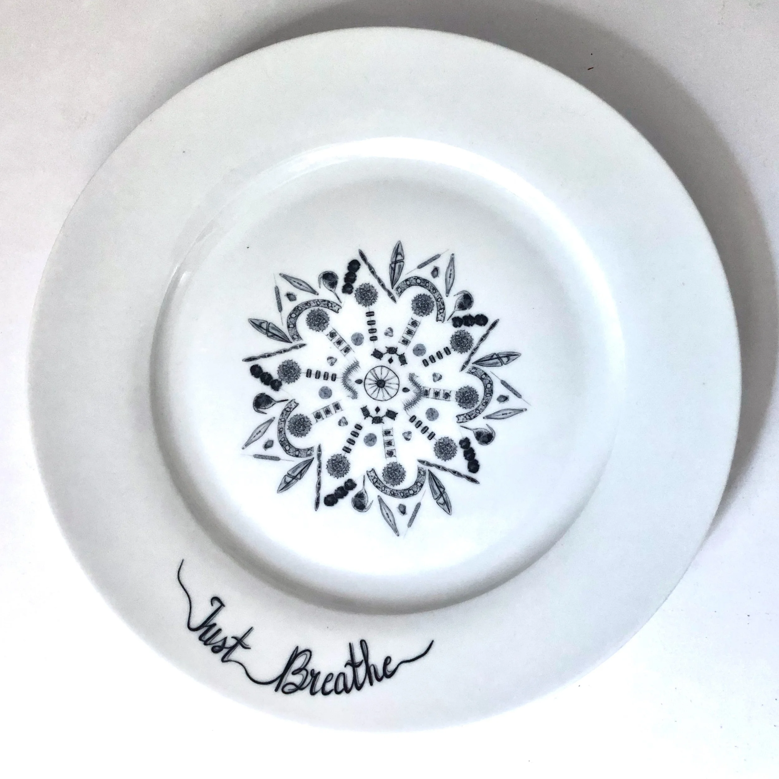 Upcycled square plate with coloured phytoplankton including Tripos ...