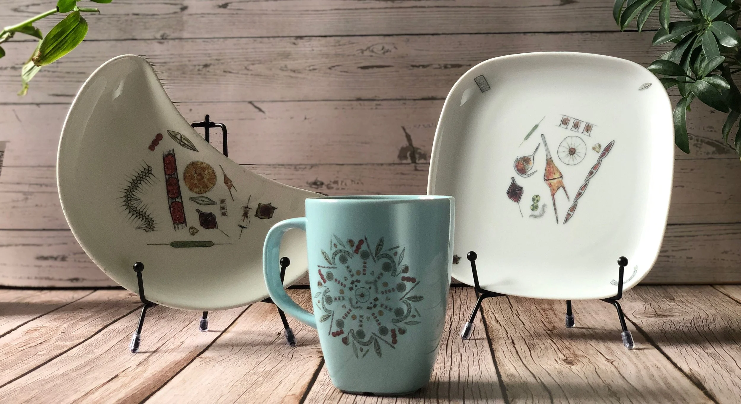 Upcycled square plate with coloured phytoplankton including Tripos ...