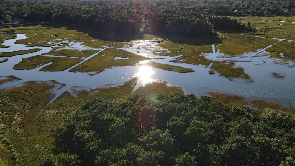 About — Native Land Conservancy