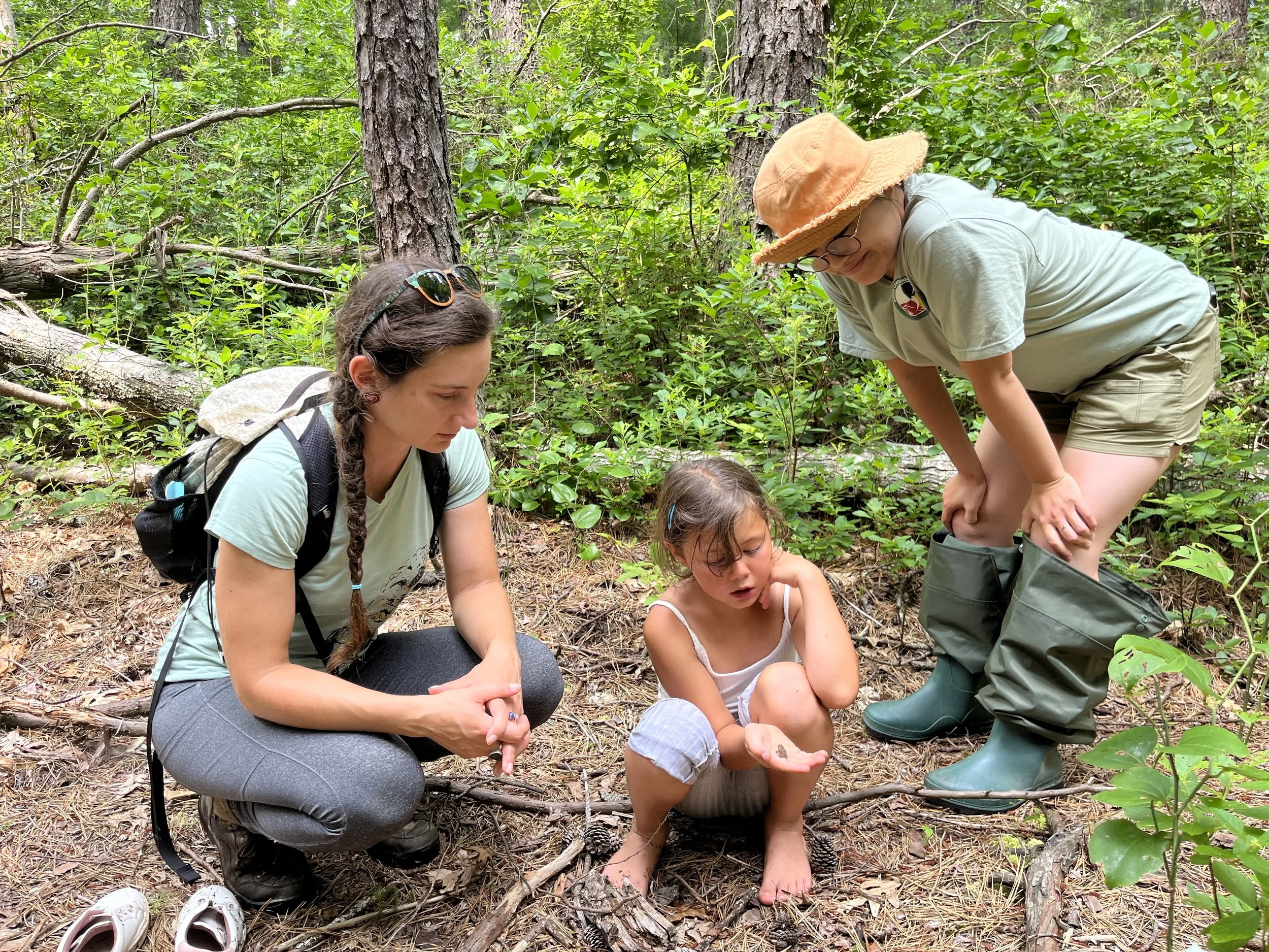 Land Care — Native Land Conservancy