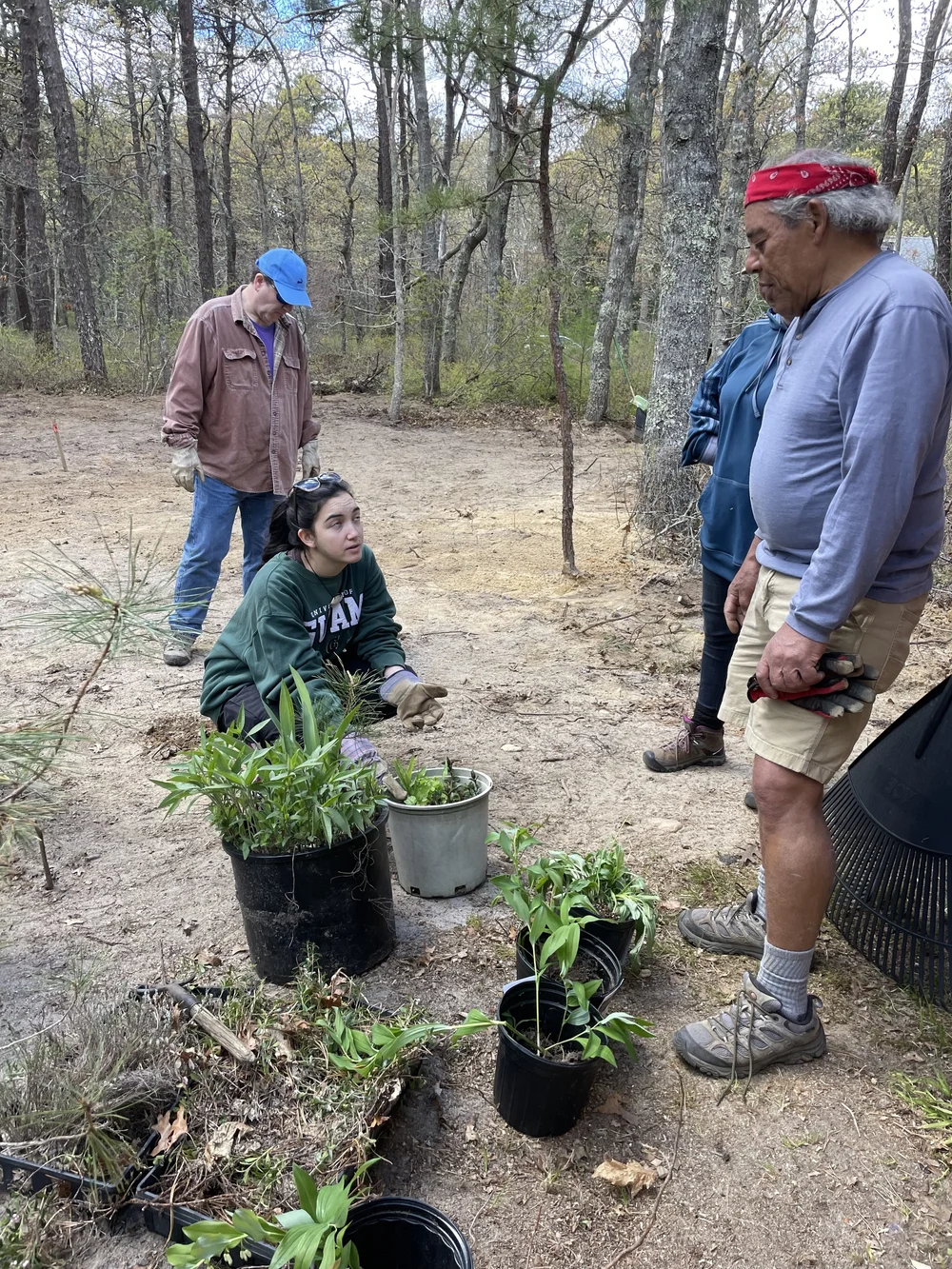 Land Care Cotuit Cottage — Native Land Conservancy