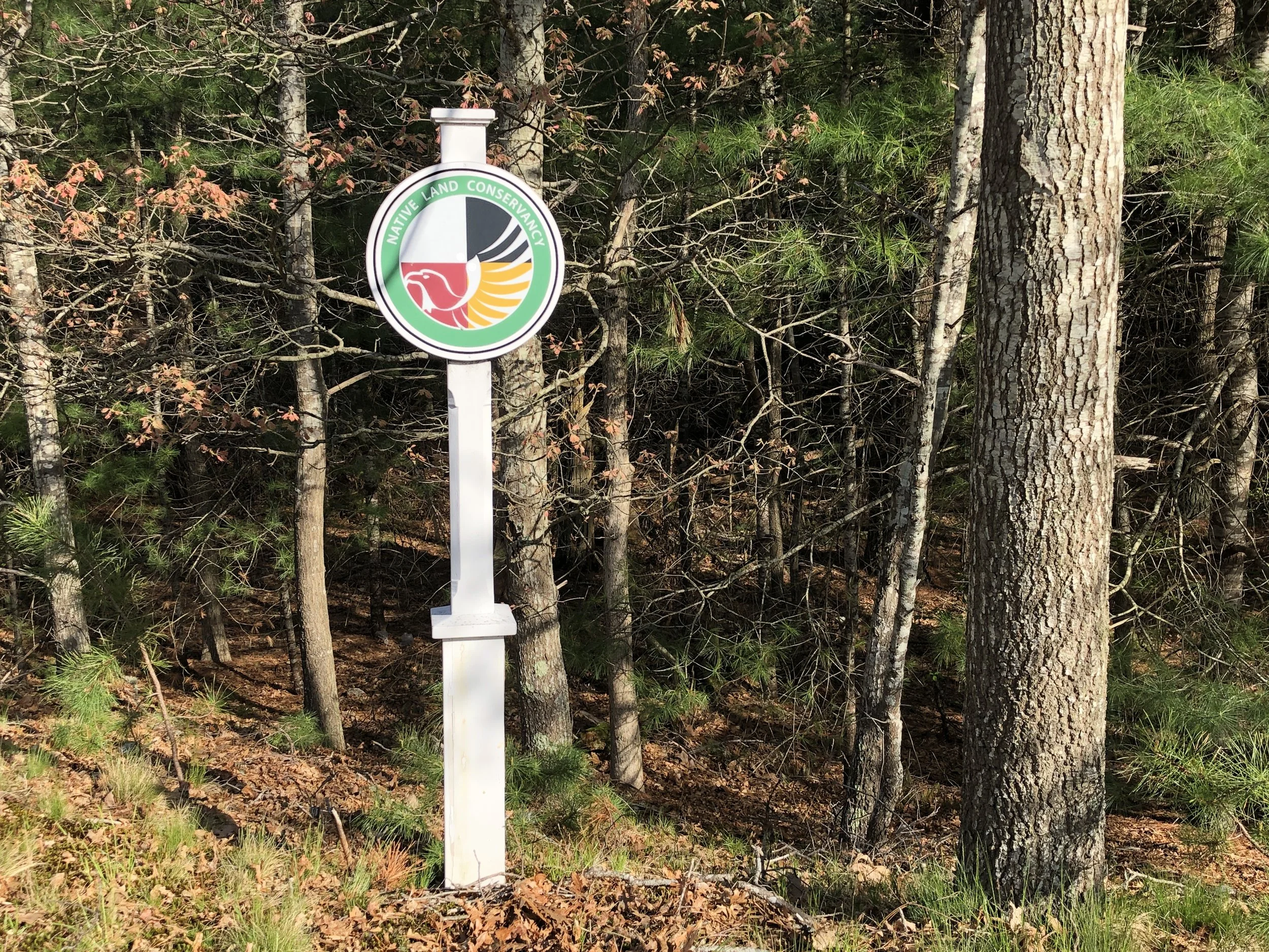 Conservation Easements — Native Land Conservancy