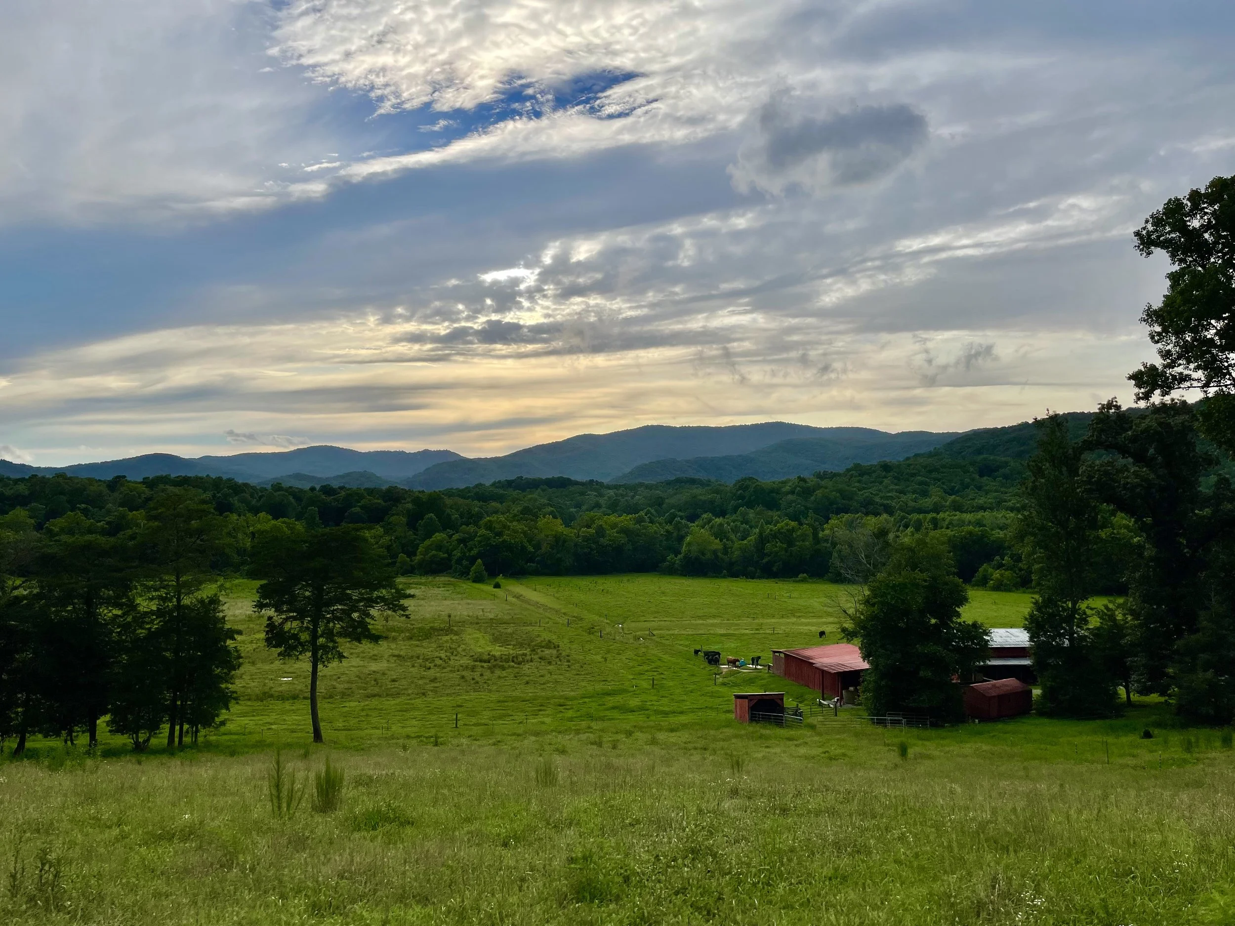 Wild East Farm - Relational Agriculture