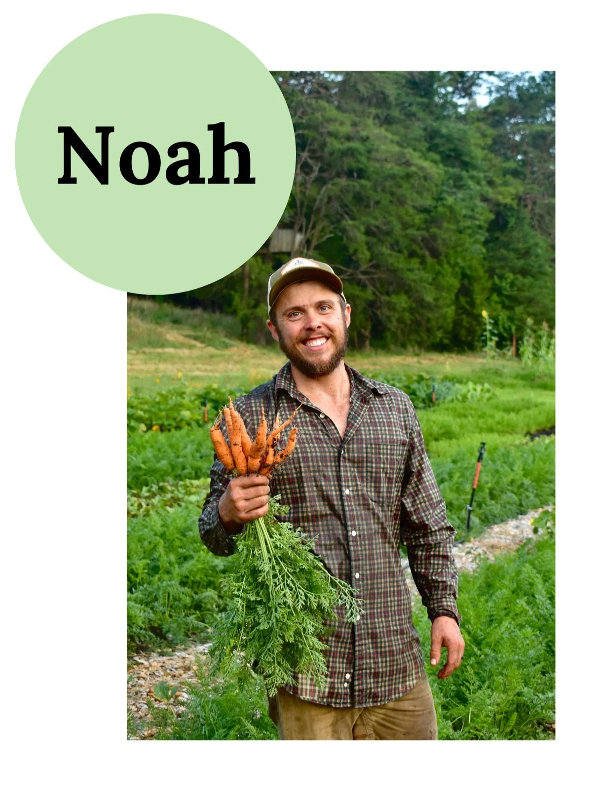 Wild East Farm - Regenerative Farm in Marion, NC