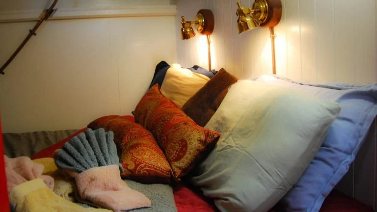 trips — Think Wild