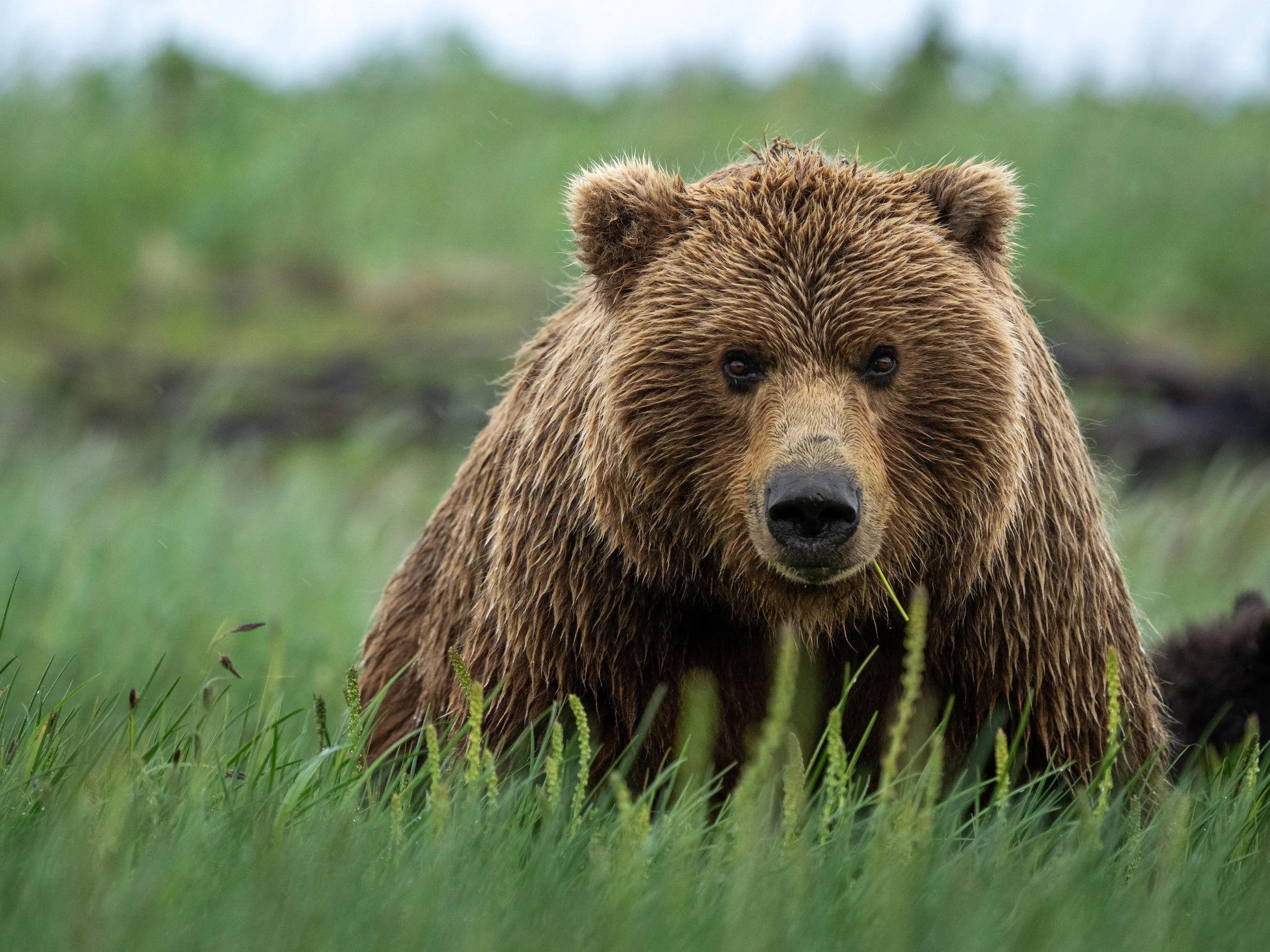 trips — Think Wild