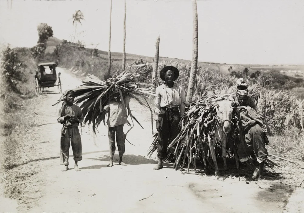 Barbados Genealogy — Ancestors of Paradise