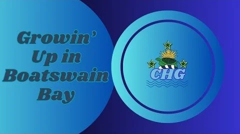 Cayman Islands Genealogy | Caribbean Ancestry — Ancestors of Paradise
