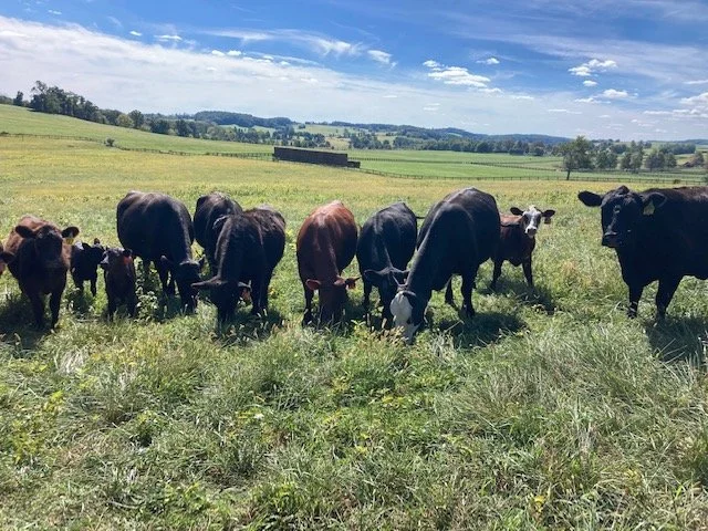 About — Buck Run Farm