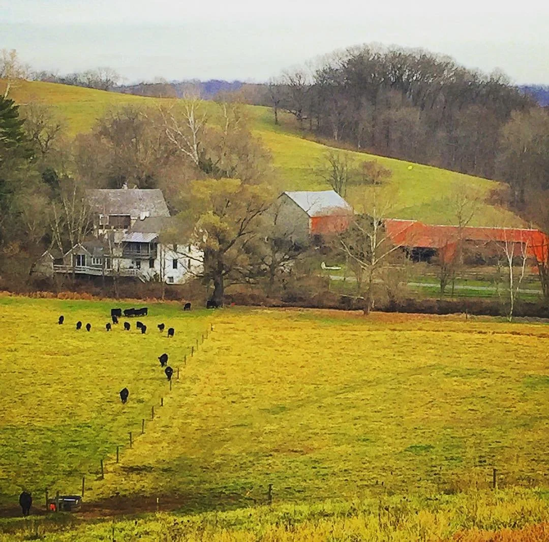 Health & Environment — Buck Run Farm