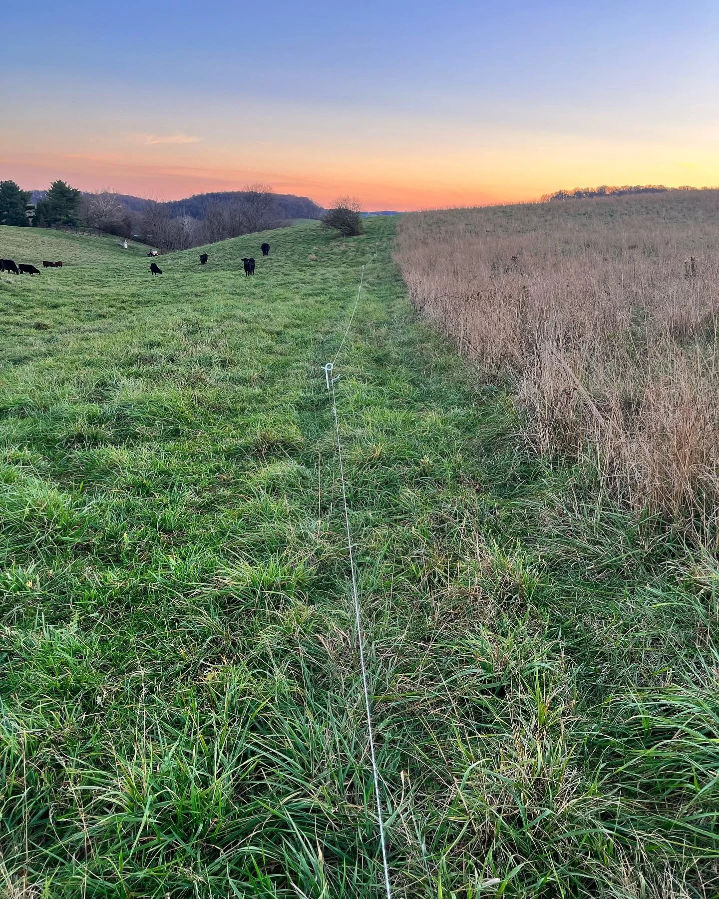 Health & Environment — Buck Run Farm