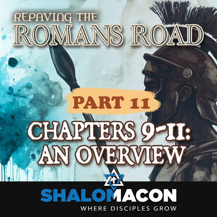 Study Guides — Shalom Macon