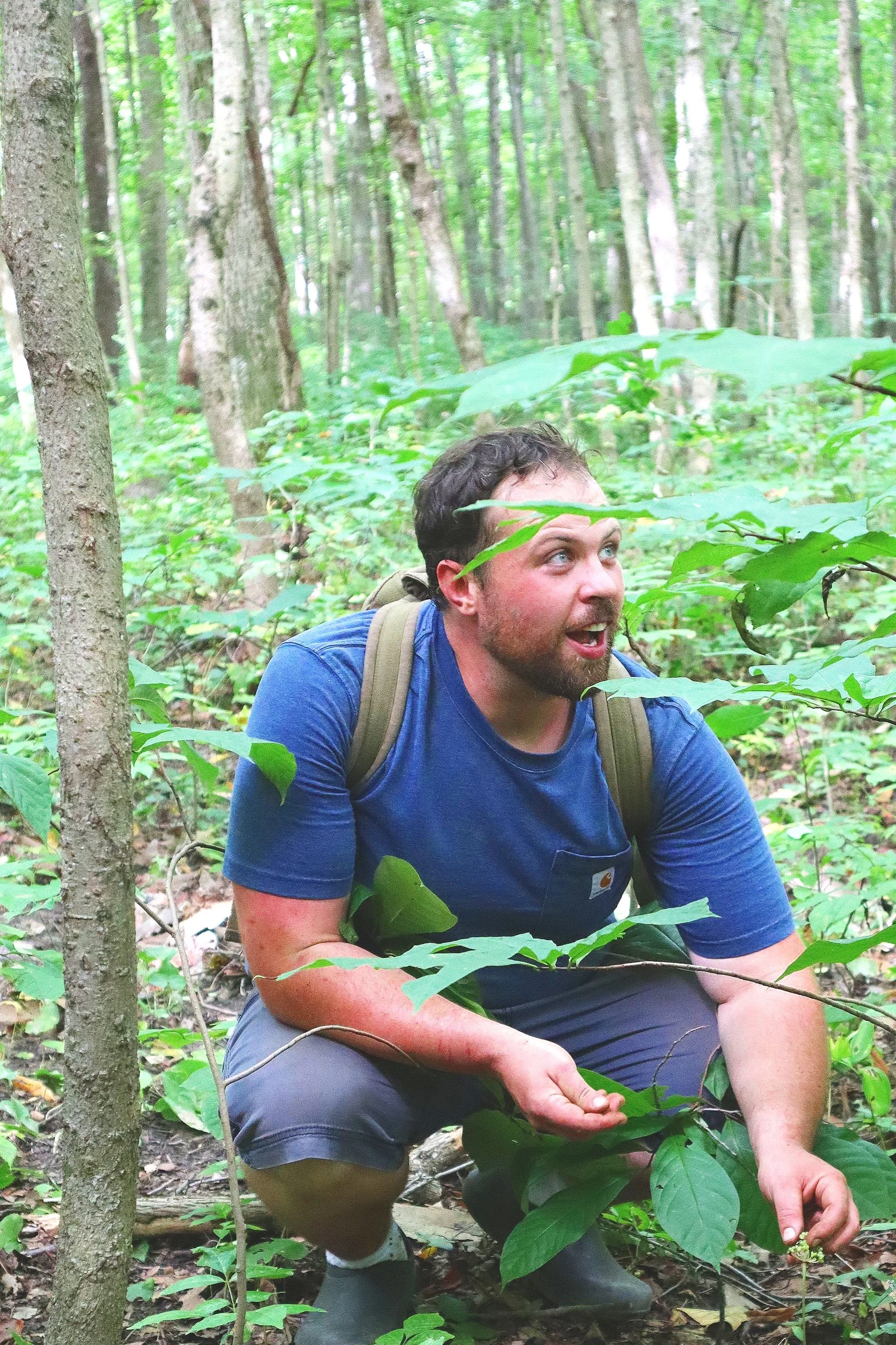 Store 1 — Spicebush Woodcraft and Foraging
