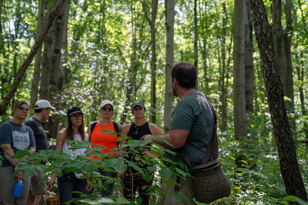 Spicebush Woodcraft and Foraging
