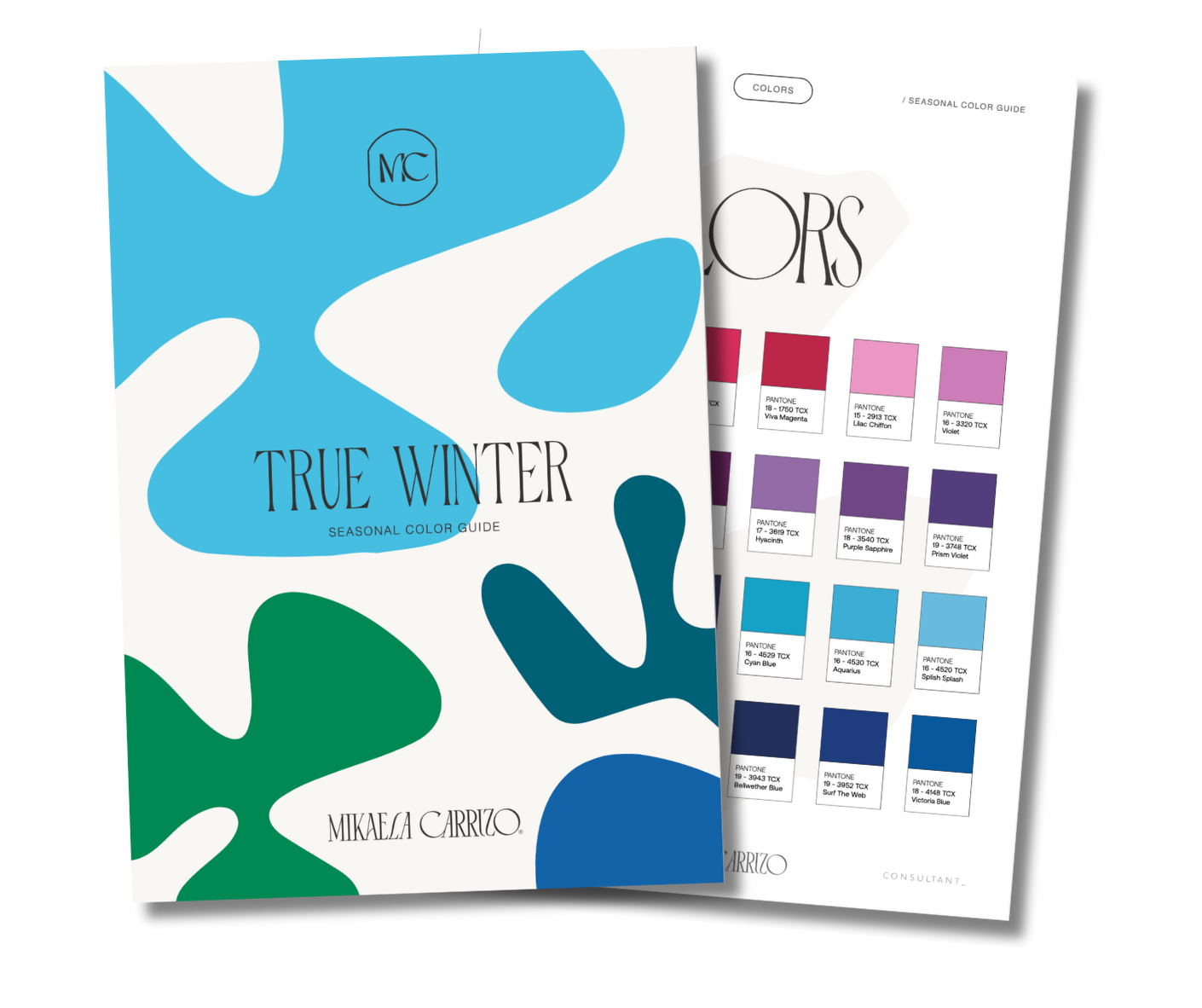 Dark Winter Seasonal Color Guide — MIKAELA CARRIZO