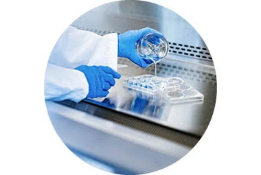 Efficient intracellular therapeutic antibodies – VectorY platform ...