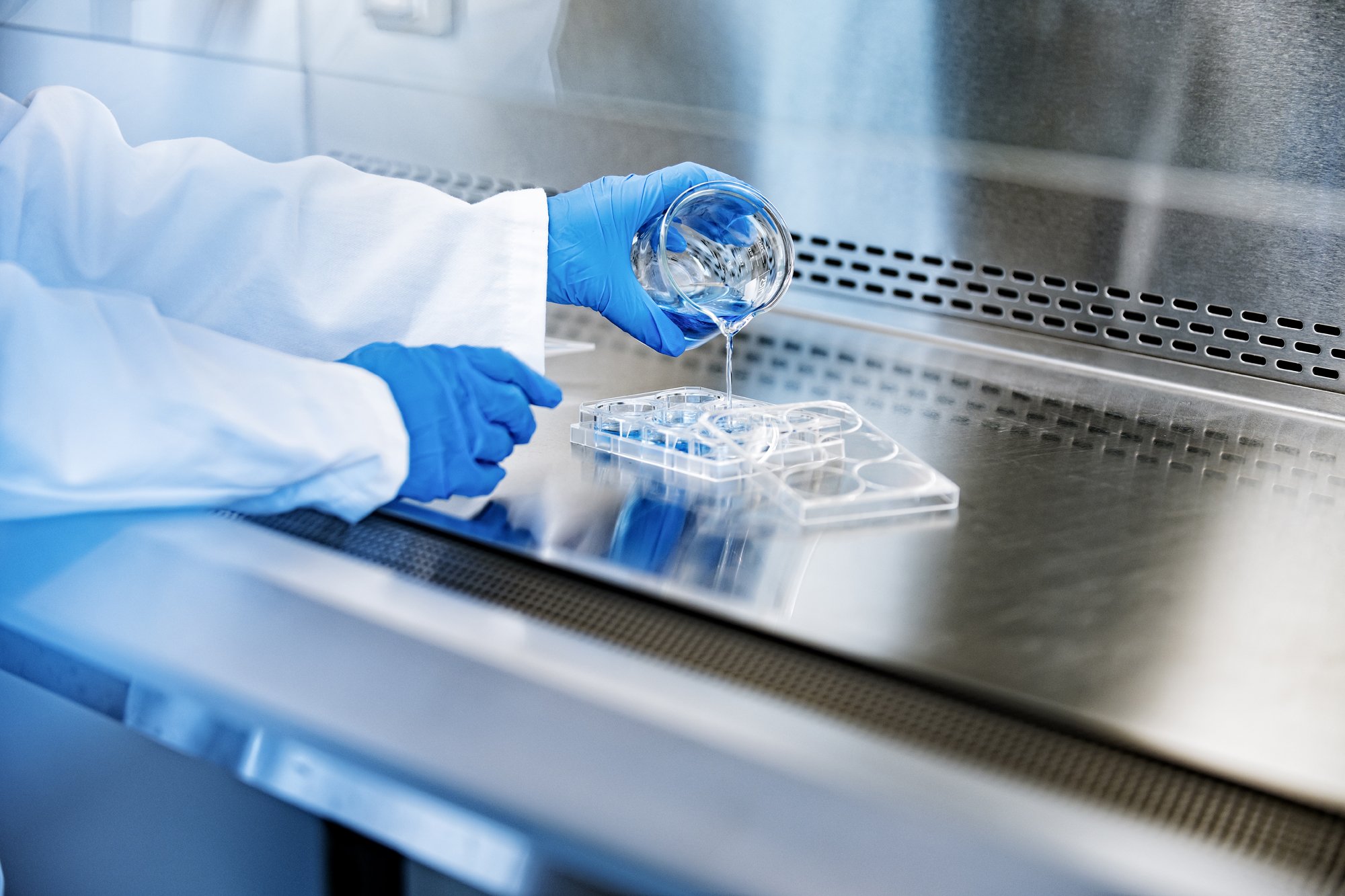 Novel vectorized antibody treatments - VectorY pipeline — VectoryTx