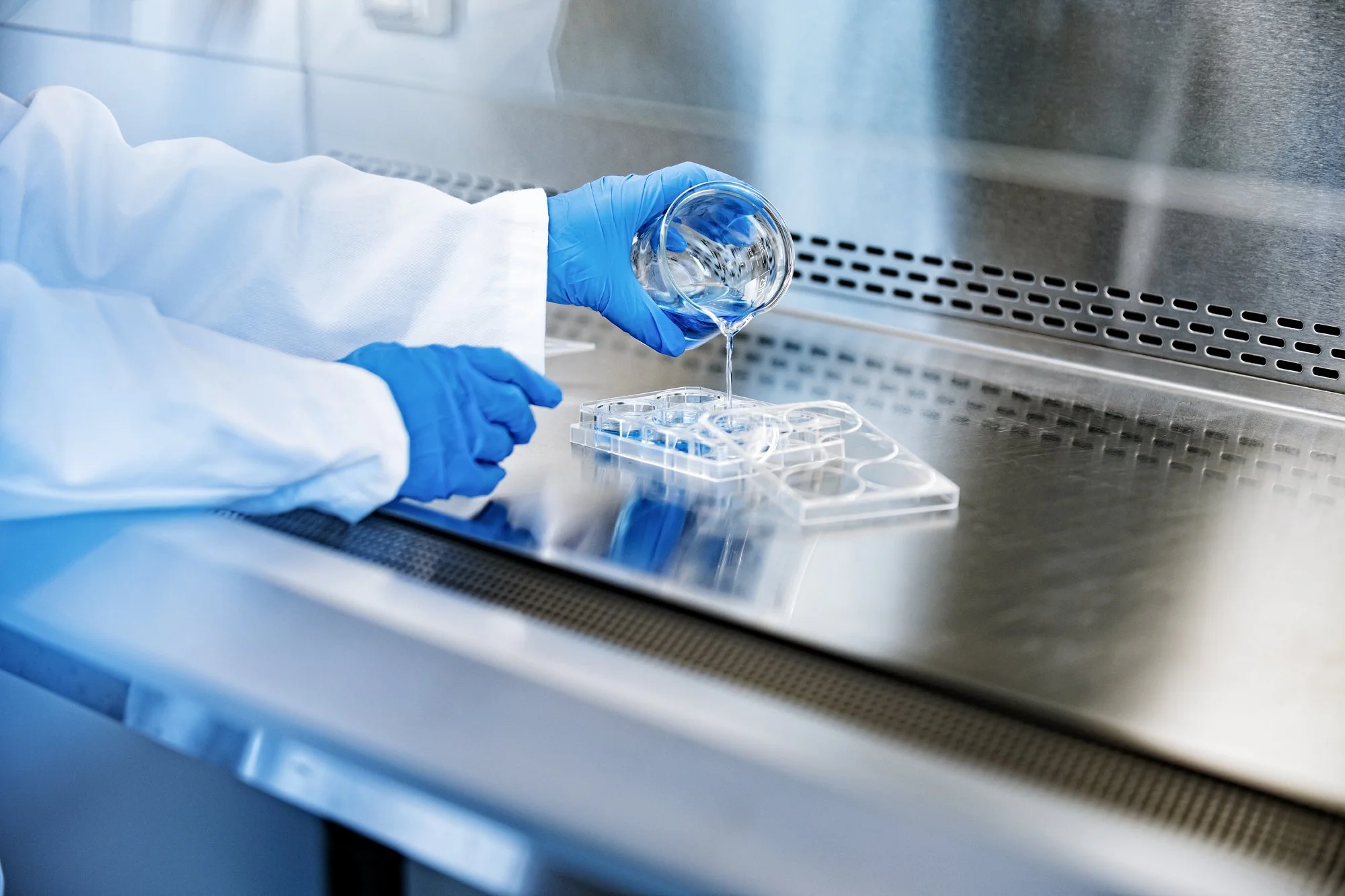 Novel vectorized antibody treatments - VectorY pipeline — VectoryTx