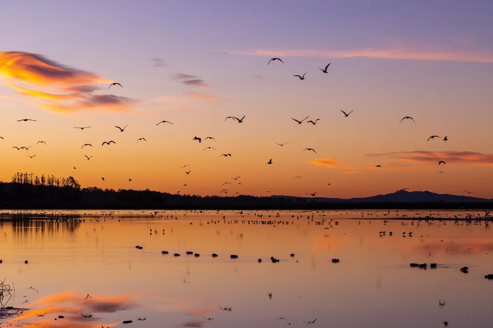 Catherine Atwood Tax Prep