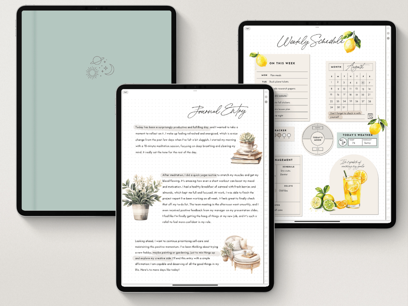 Digital Bullet Journal — Joyfully Paperless