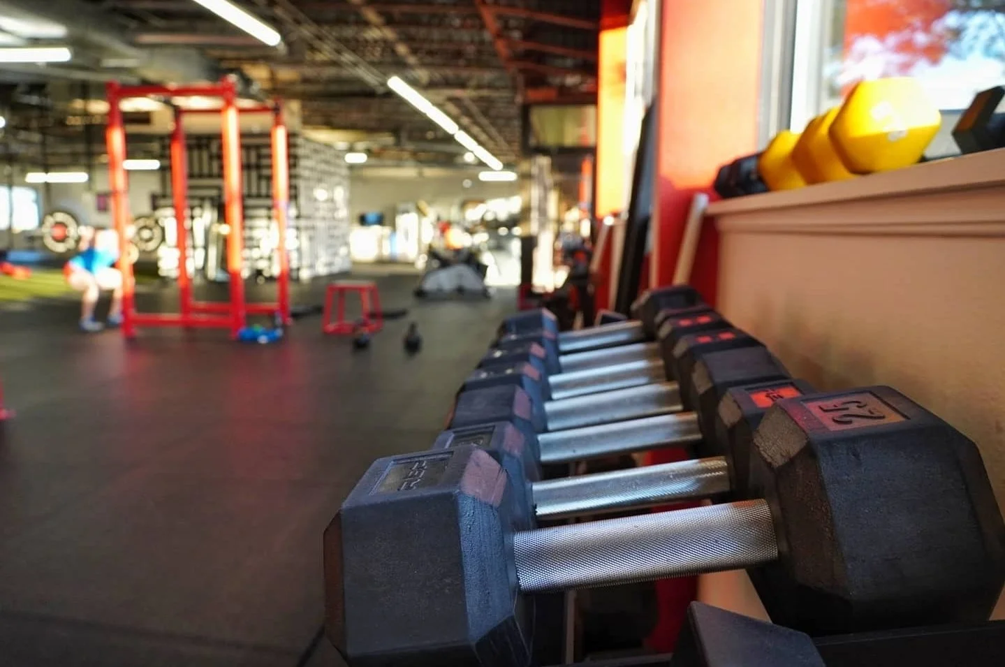 Sports Performance — Revo PT Denver