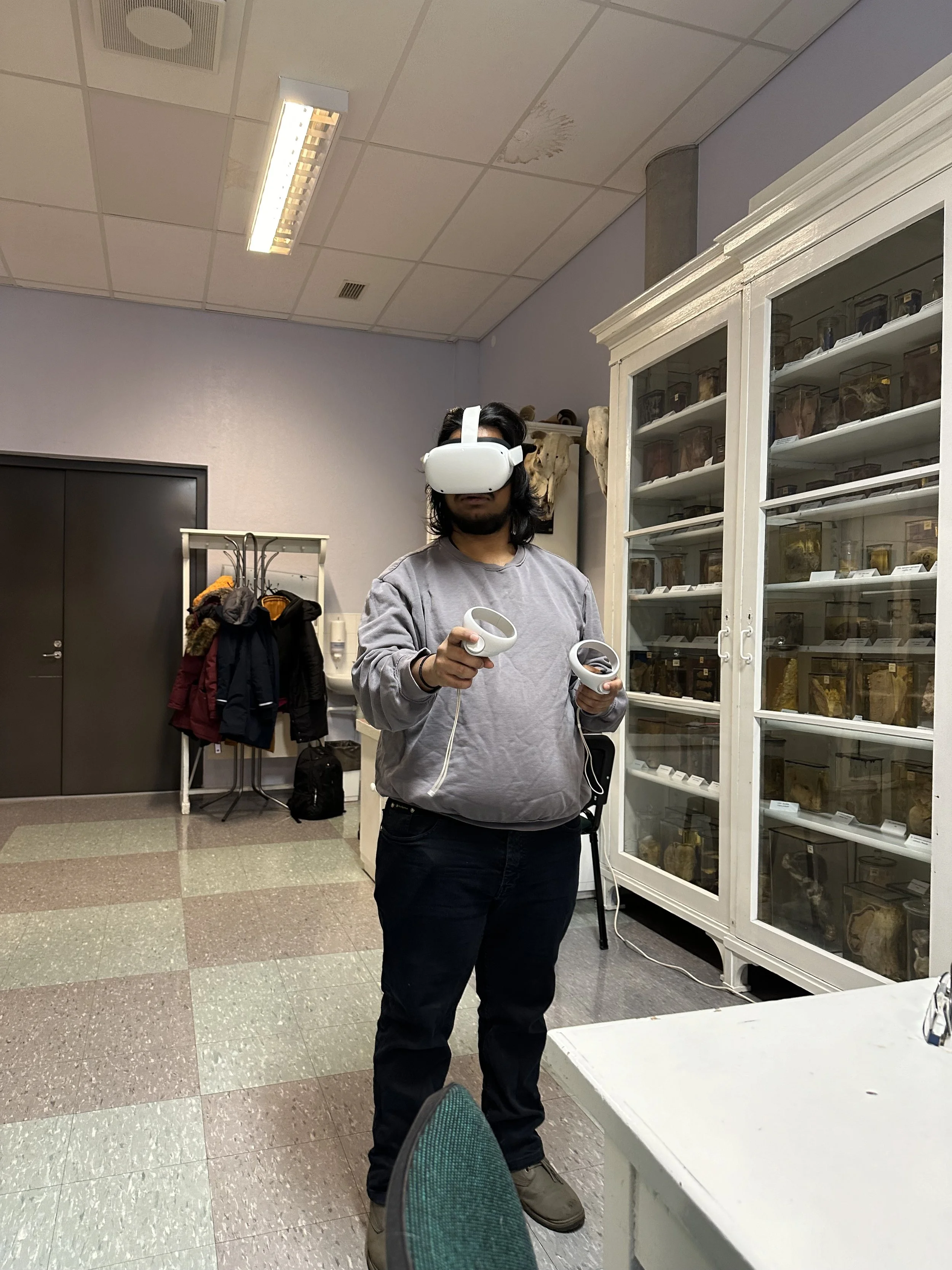 VET VR