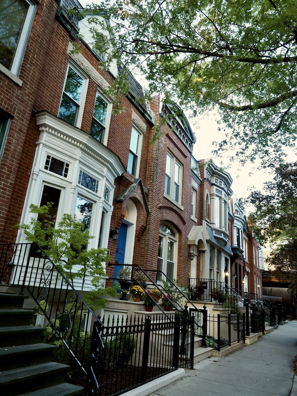 About — Sheffield Neighborhood Association