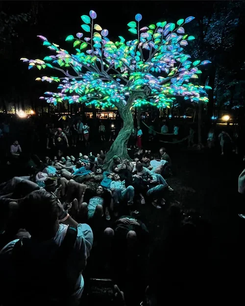 The Nebari Tree — Color + Light
