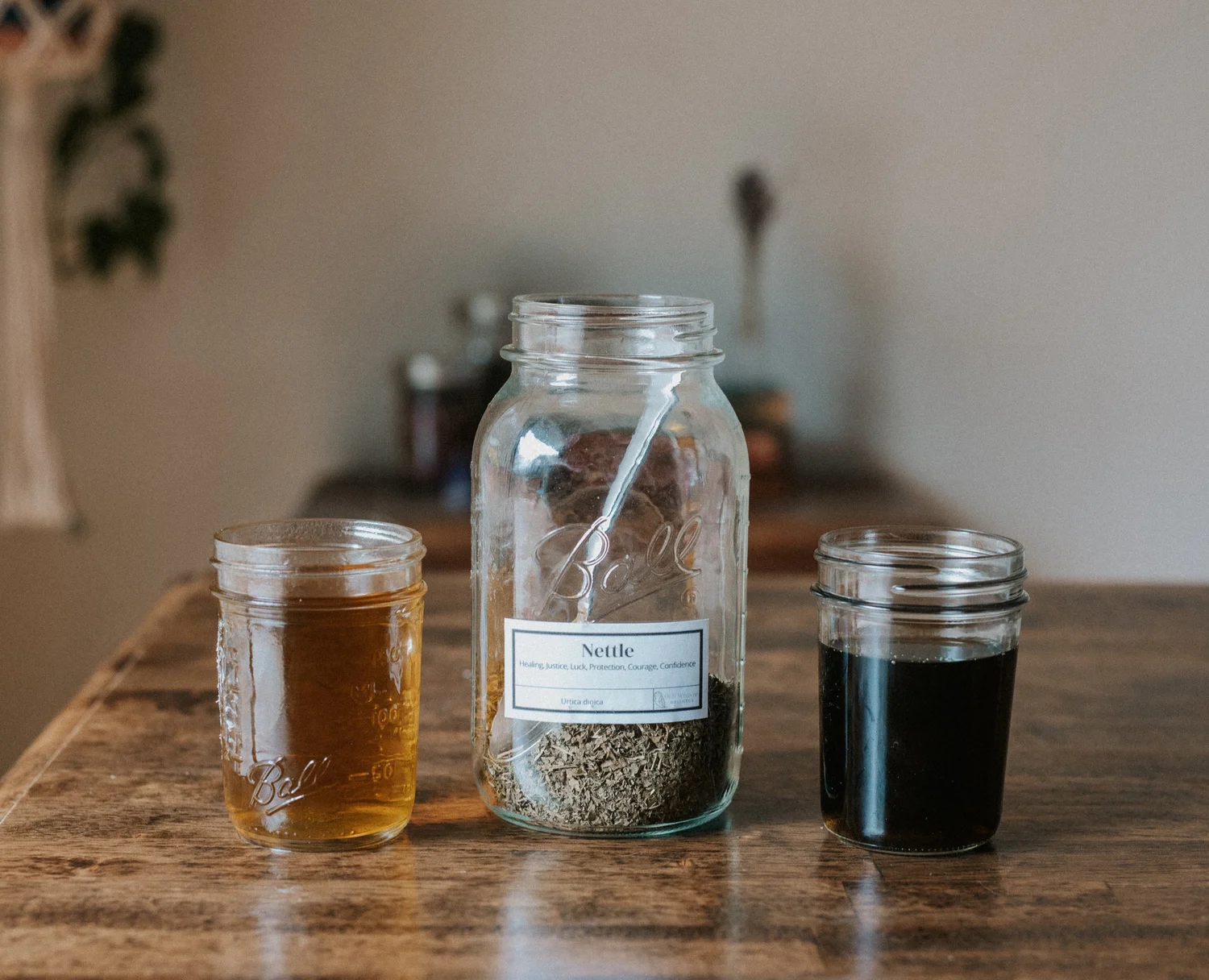 How to Make Nourishing Herbal Infusions — Old Wisdom Wellness