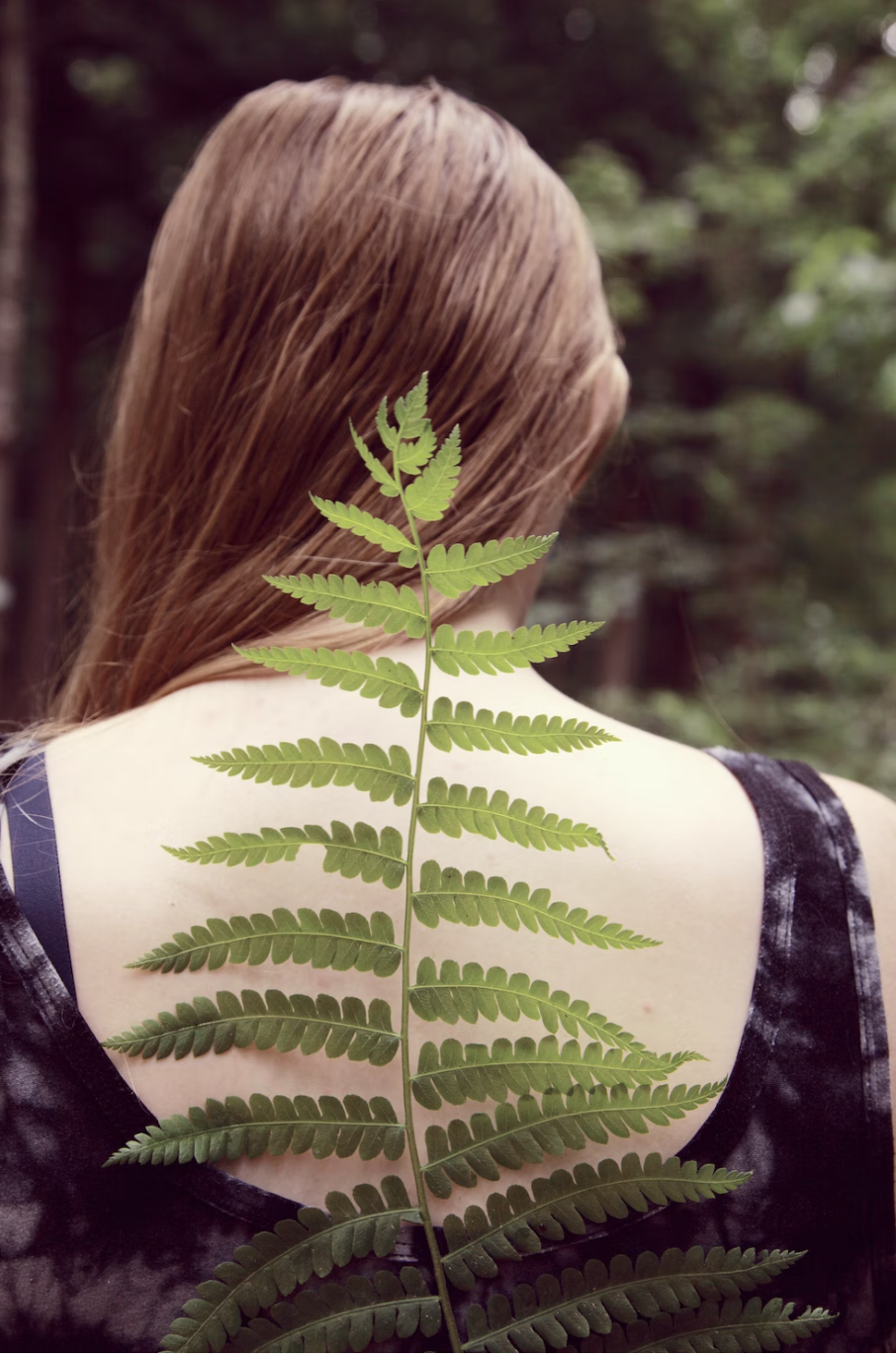 MyChiro Auckland Clinic