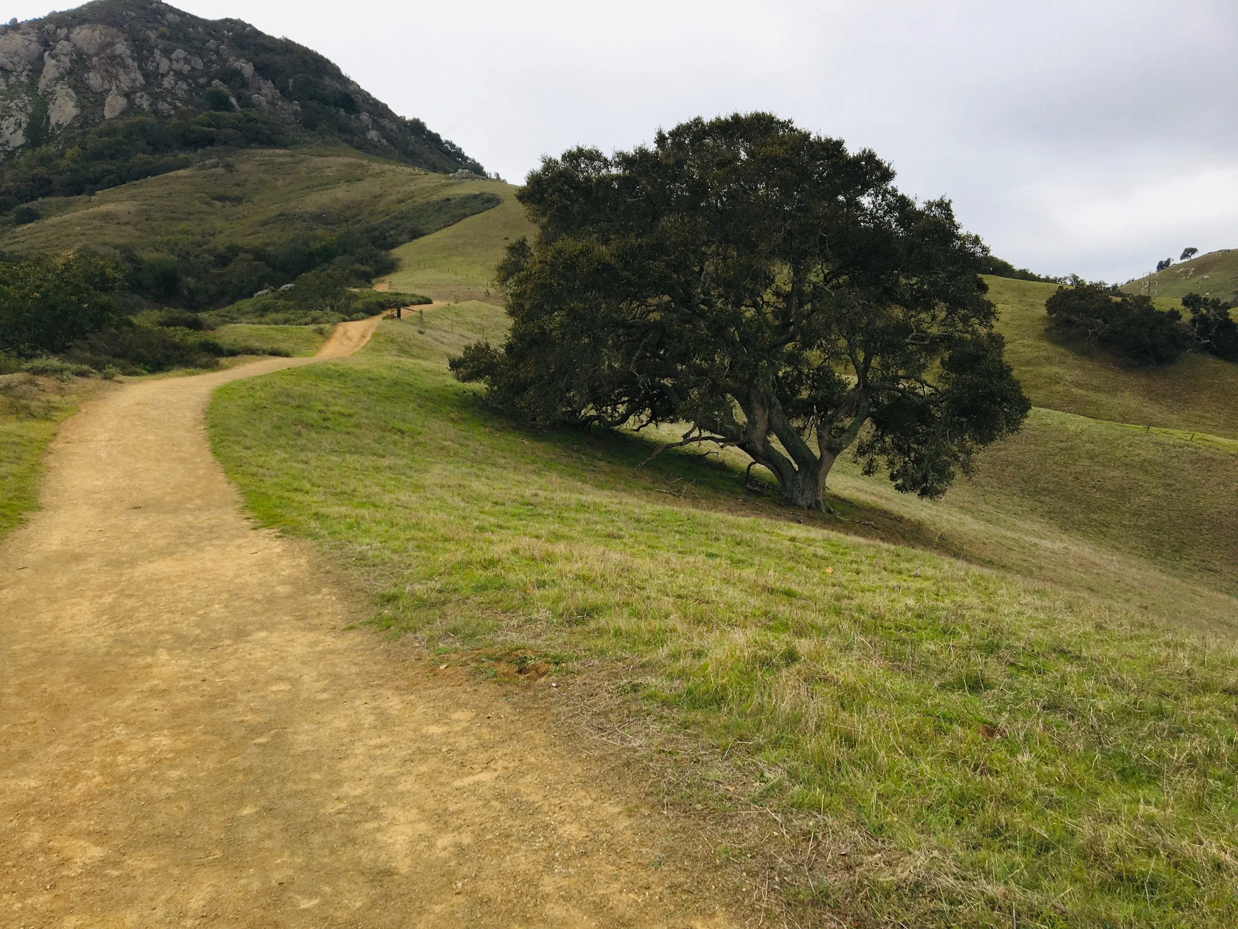 Tribal Council — YTT Northern Chumash Tribe