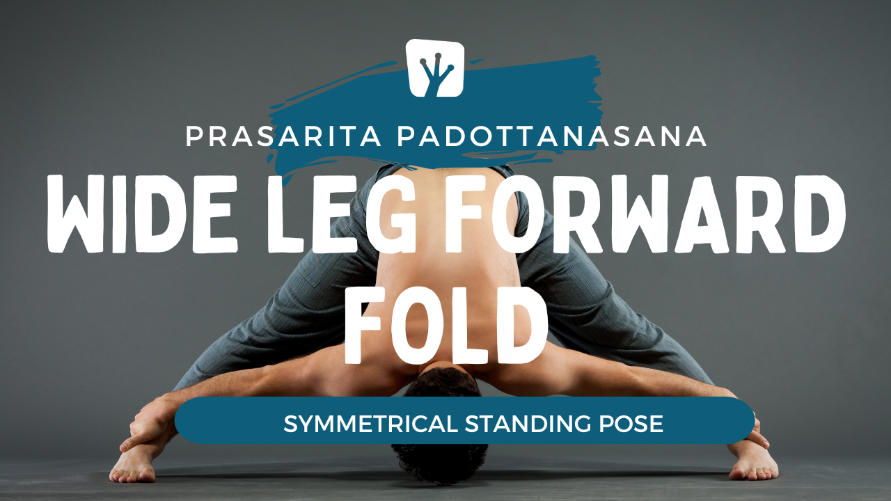 How to do Wide Leg Forward Fold Pose (Prasarita Paddotanasana) — Upward ...
