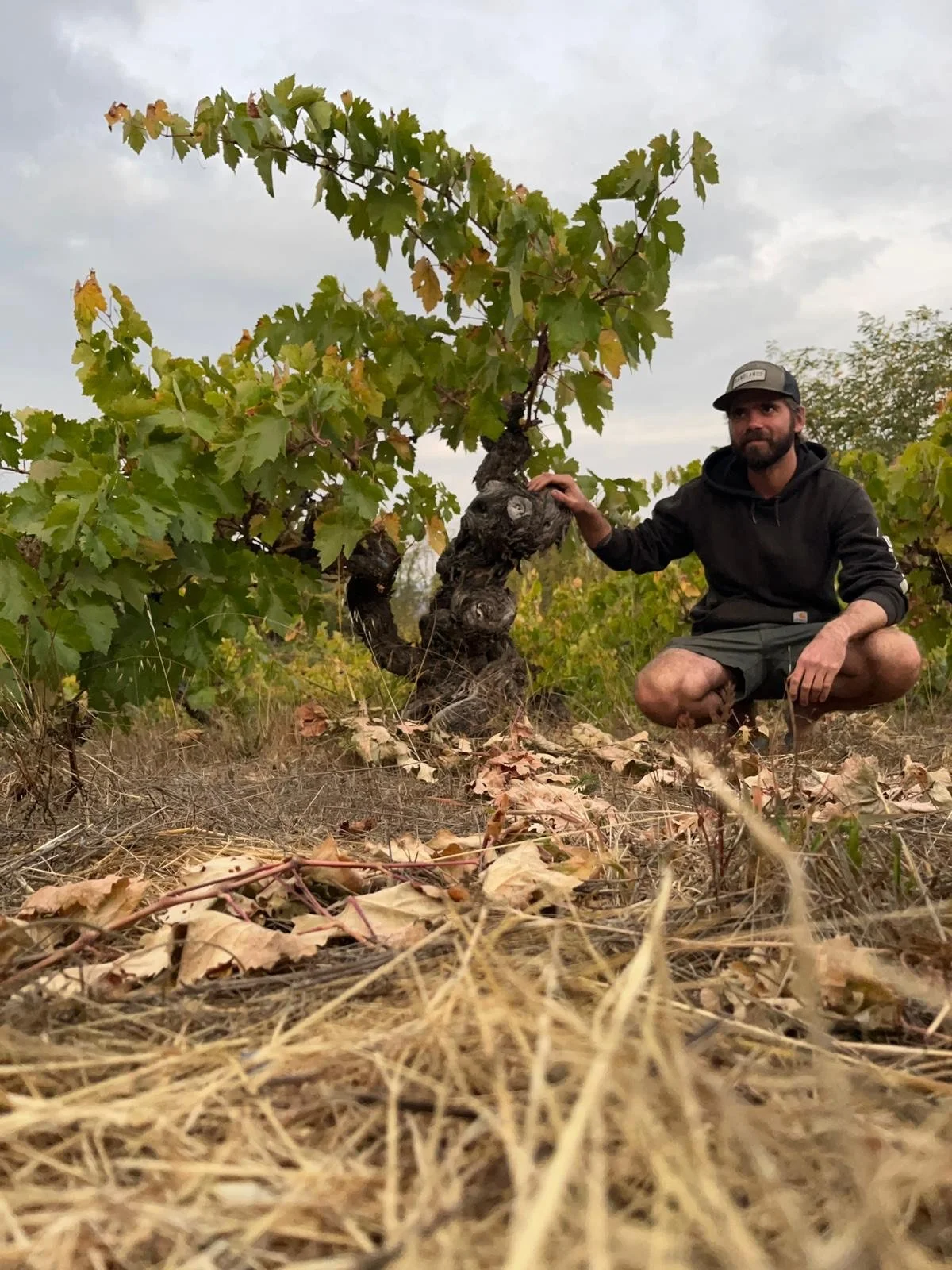 The Lost Art of Natural Wine — Beyond Organic Wine Podcast